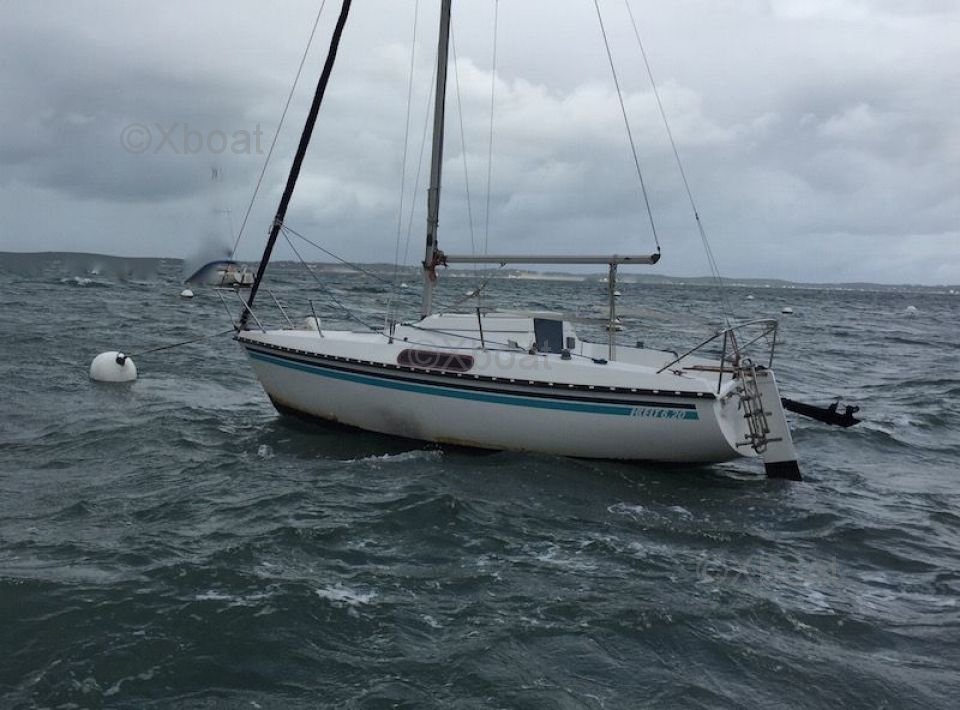 Occasion KELT KELT 620 DI 1975 - France Atl 17