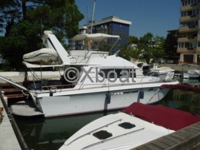 Vedettes POWLES - POWLES 38 Fiche technique