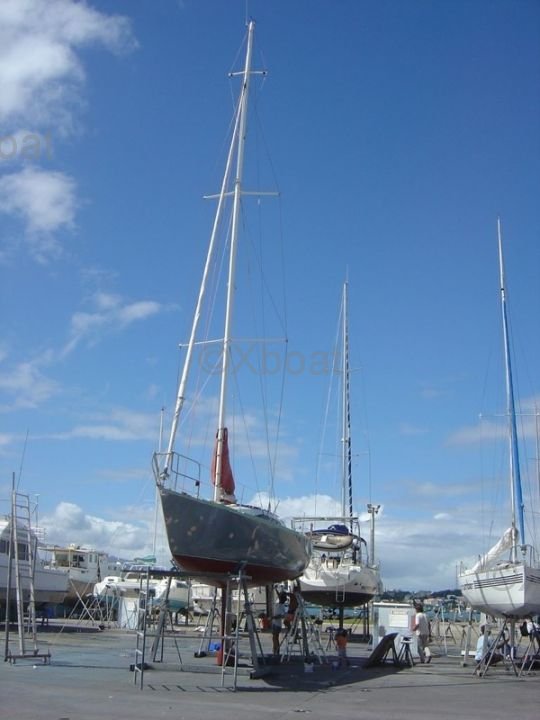 Occasion Potomac yacht sydney FARR 38 1988 - Pacifique Sud