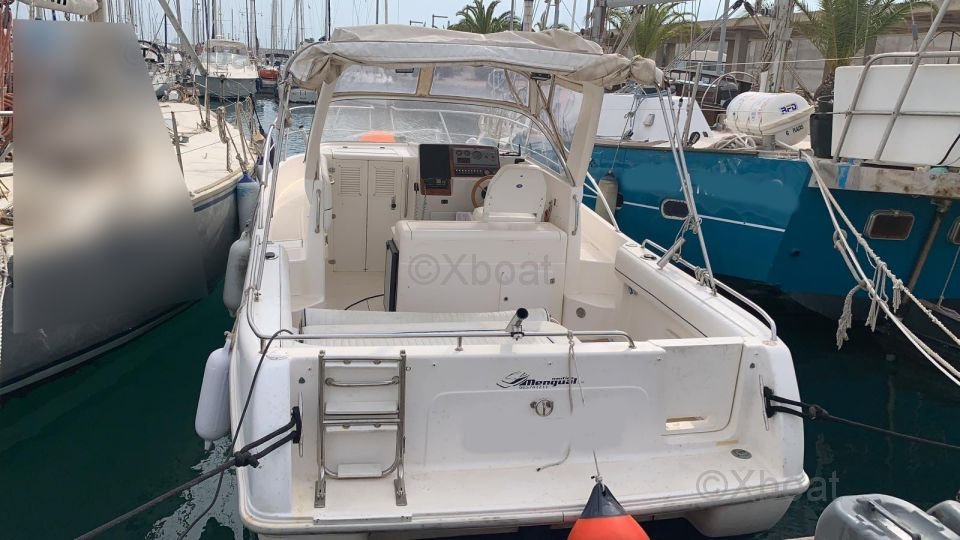 Bateaux à Moteurs d'occasion du chantier de construction FAETON, Modèle ...