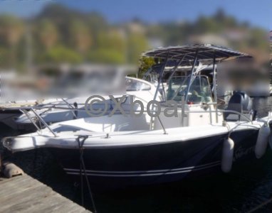Vedettes KELT - WHITE SHARK 205 Fiche technique